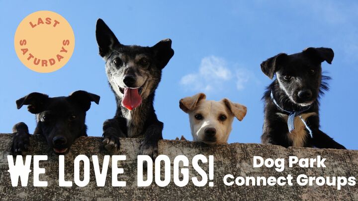 We Love Dogs!: Dog Park Connect Group - The Bridge