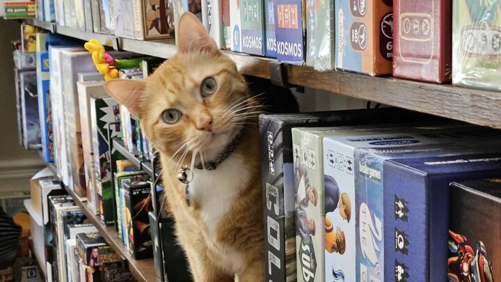 Guzman and Rodarte - Calvary Chapel St. Petersburg