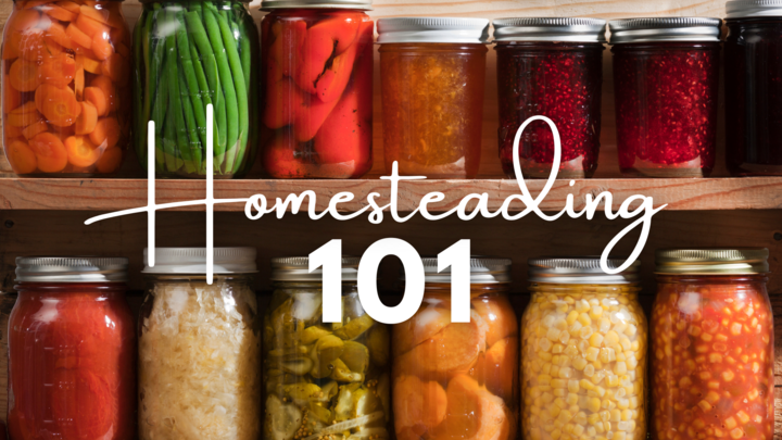 Homesteading 101 Connect Group - Oasis Church
