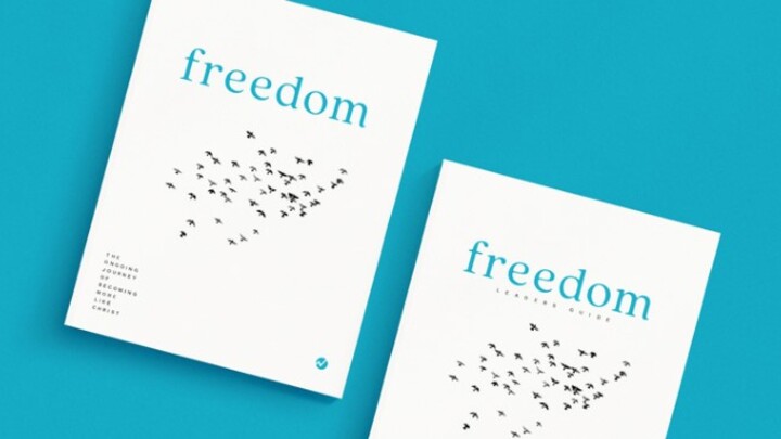 Freedom Life Groups - City Life Church