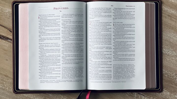 Proverbs Bible Study - Young Adult Men's Group - Dan Delzer & Vincent ...