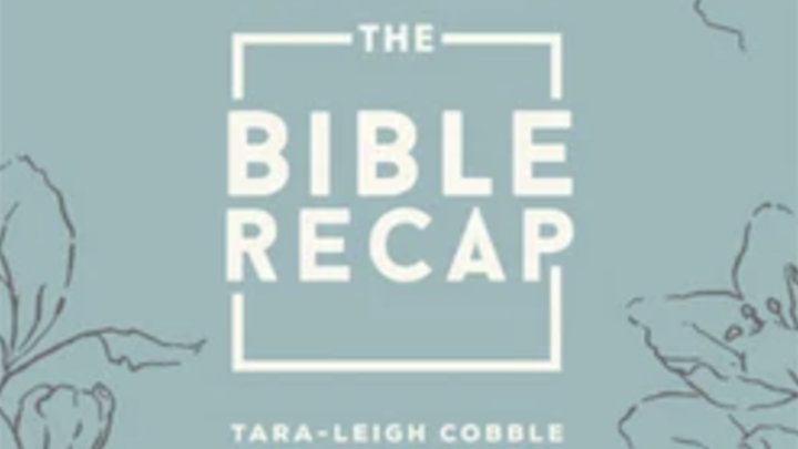 Co-Ed | Diving Deep: Bible in a Year | Marcia Merkle, Tara Ballard and ...